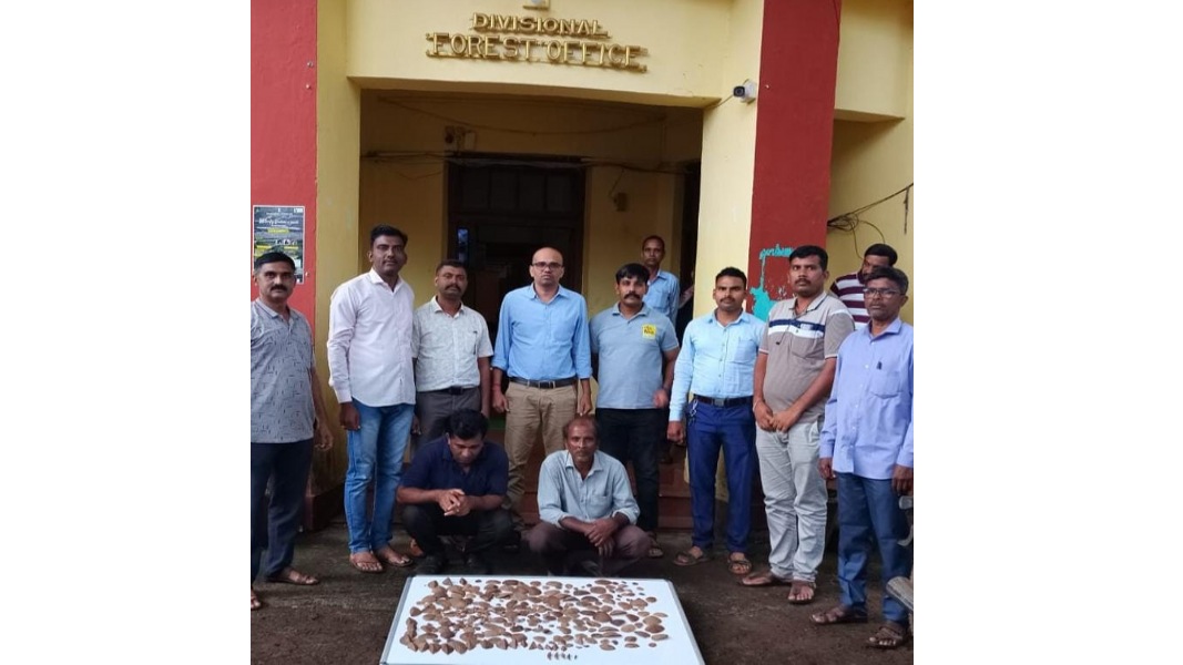 Two days forest imprisonment for the accused of smuggling cat scales